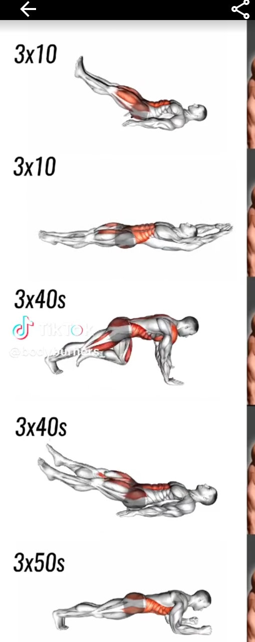 3x10 (Image showing a leg raise/crunch | StudyX