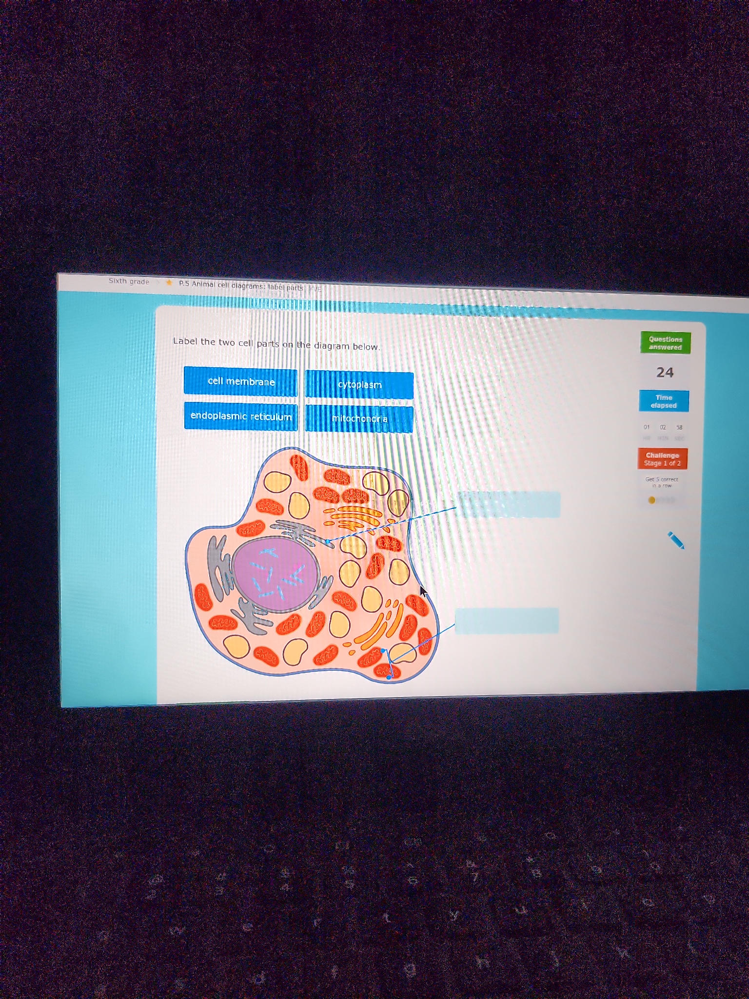 Label the two cell parts on the diagram | StudyX