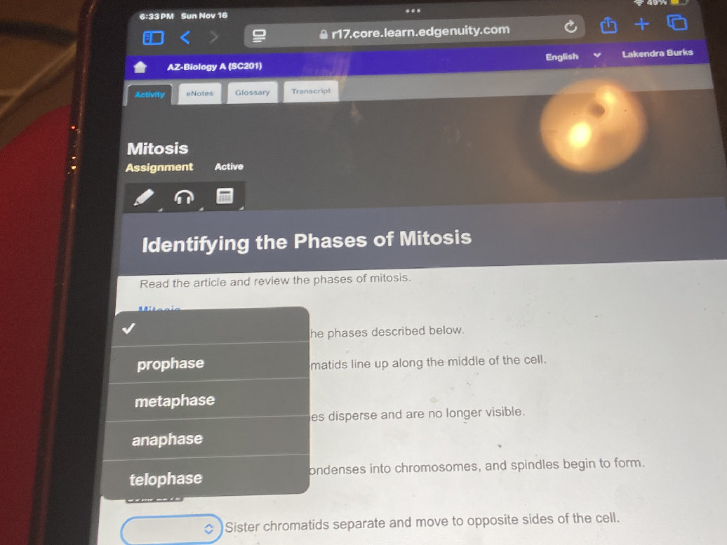 Identify the phases of mitosis. Read the | StudyX