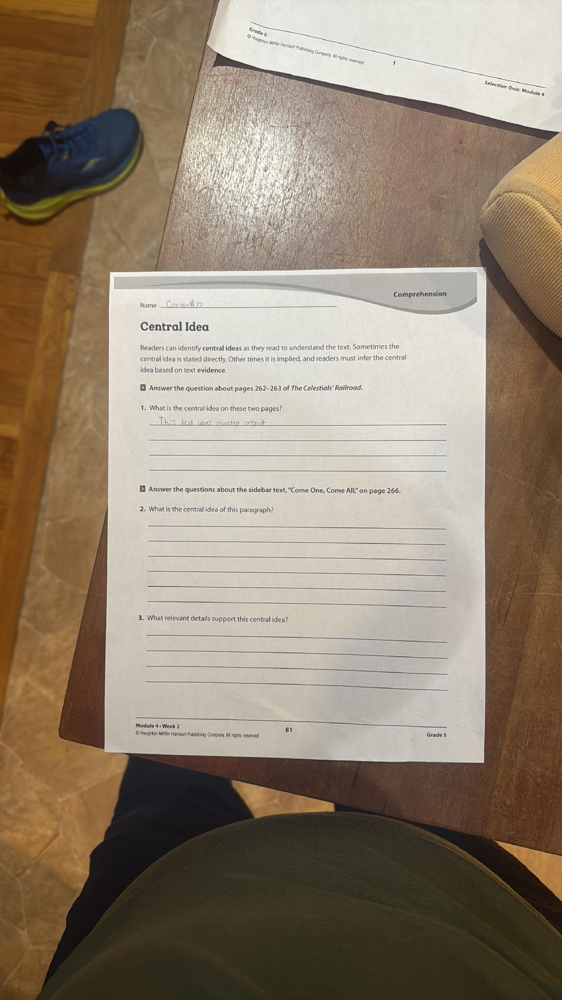 Readers can identify central ideas as they | StudyX