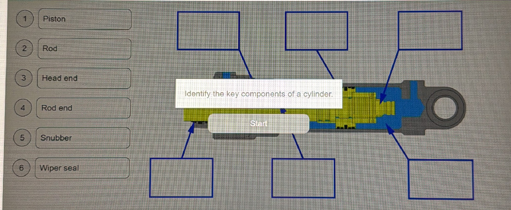 Identify the key components of a cylinder. | StudyX