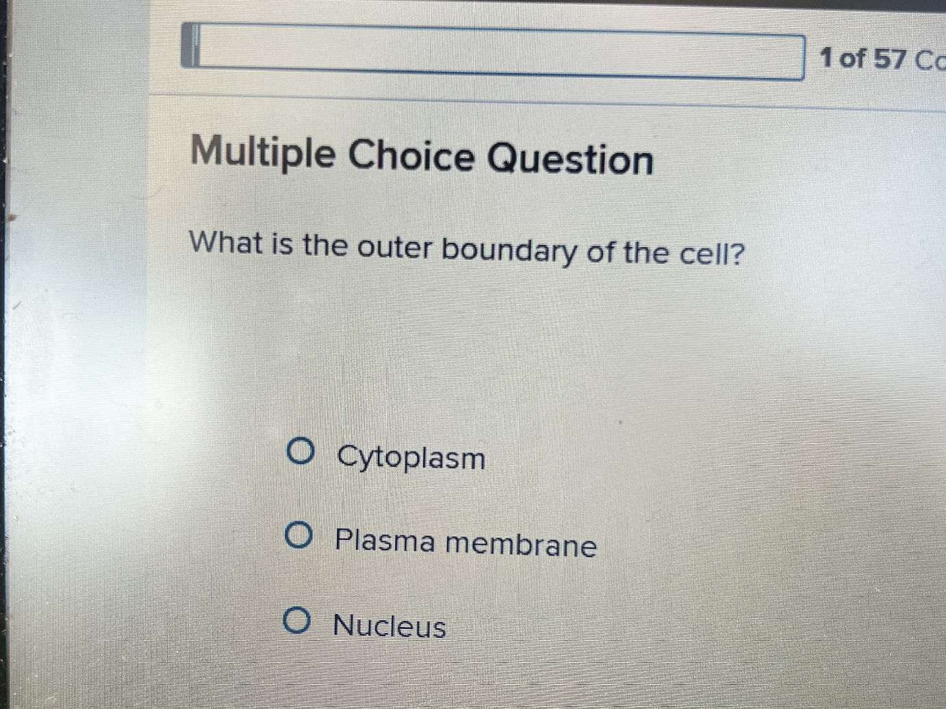 What is the outer boundary of the cell? | StudyX