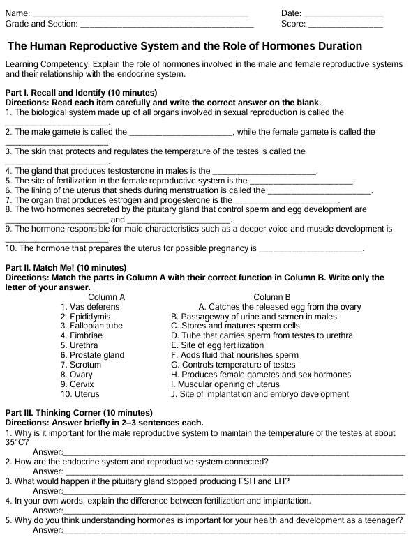 The Human Reproductive System and the Role | StudyX