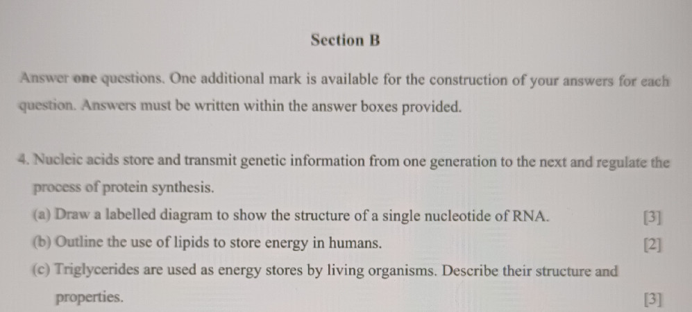 Section B Answer one questions. One | StudyX