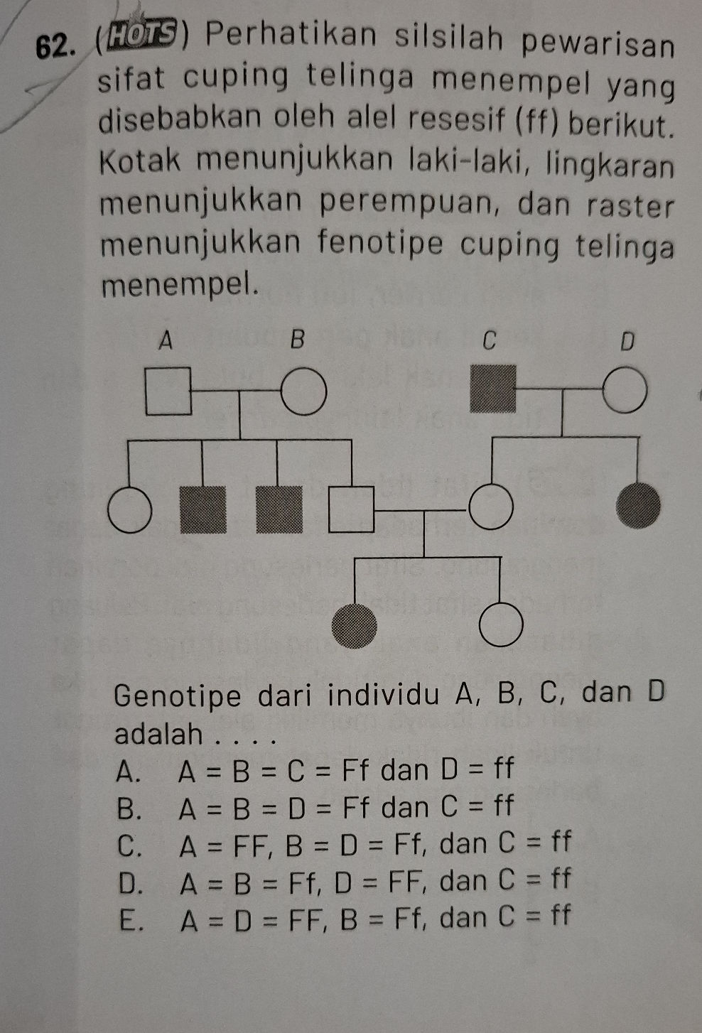 62. (HOTS) Perhatikan silsilah pewarisan | StudyX