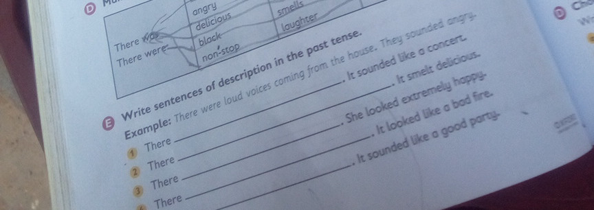 Write sentences of description in the past | StudyX