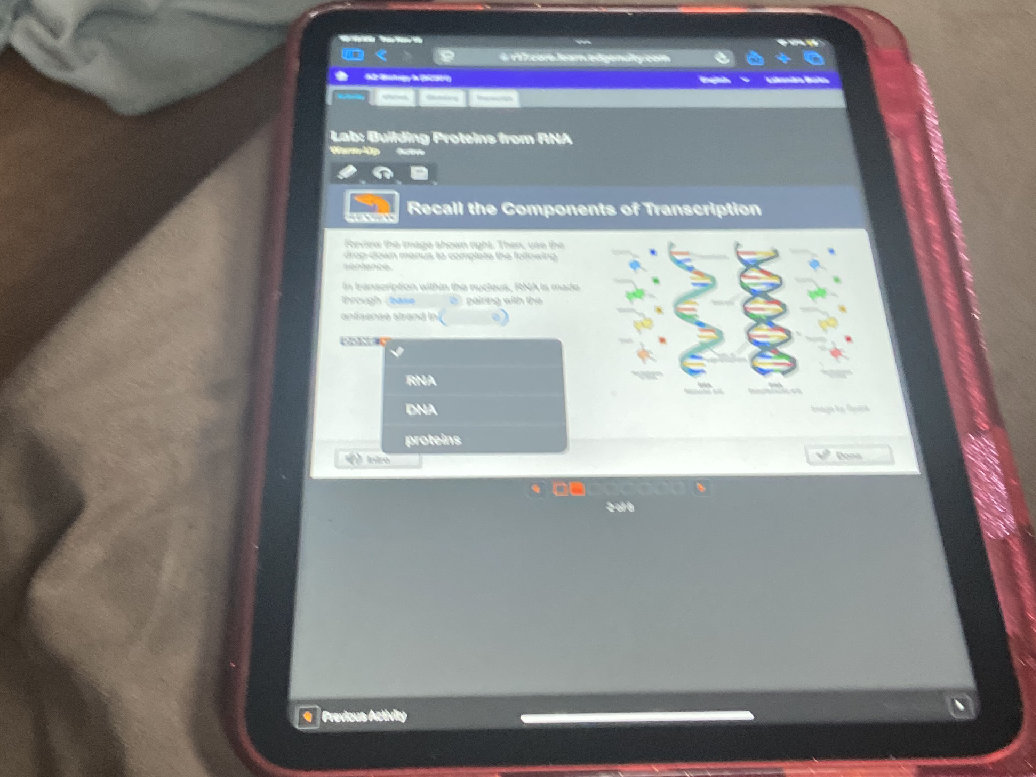 Lab: Building Proteins from RNA **Recall | StudyX