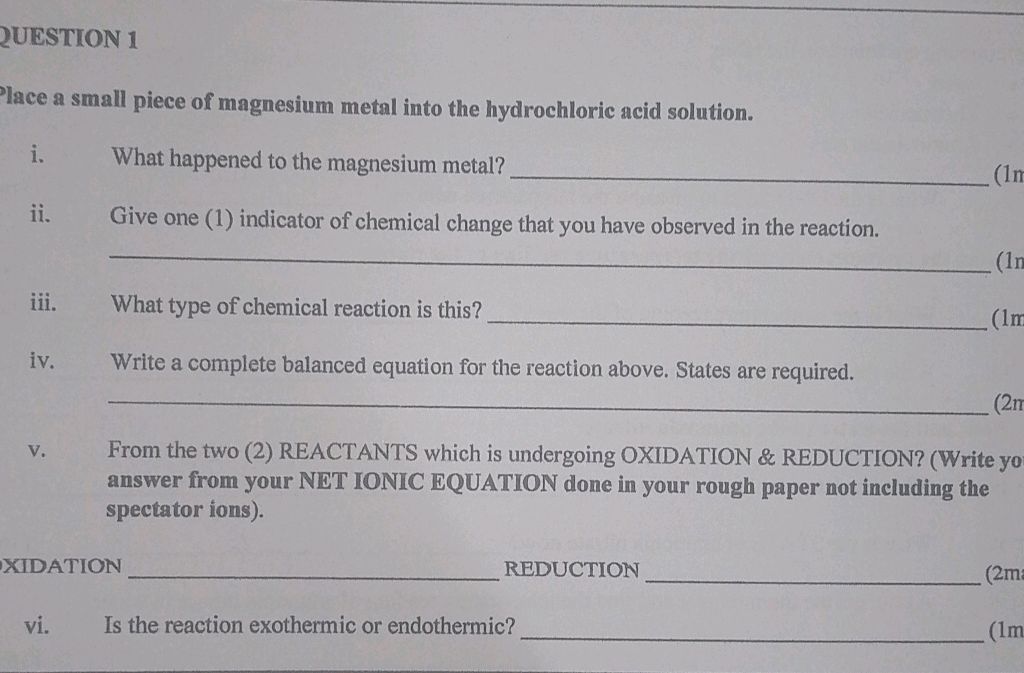 QUESTION 1 Place a small piece of magnesium | StudyX