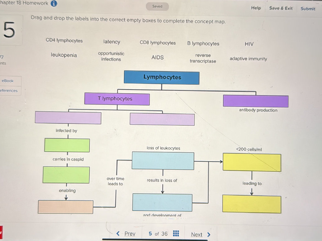 Drag and drop the labels into the correct | StudyX