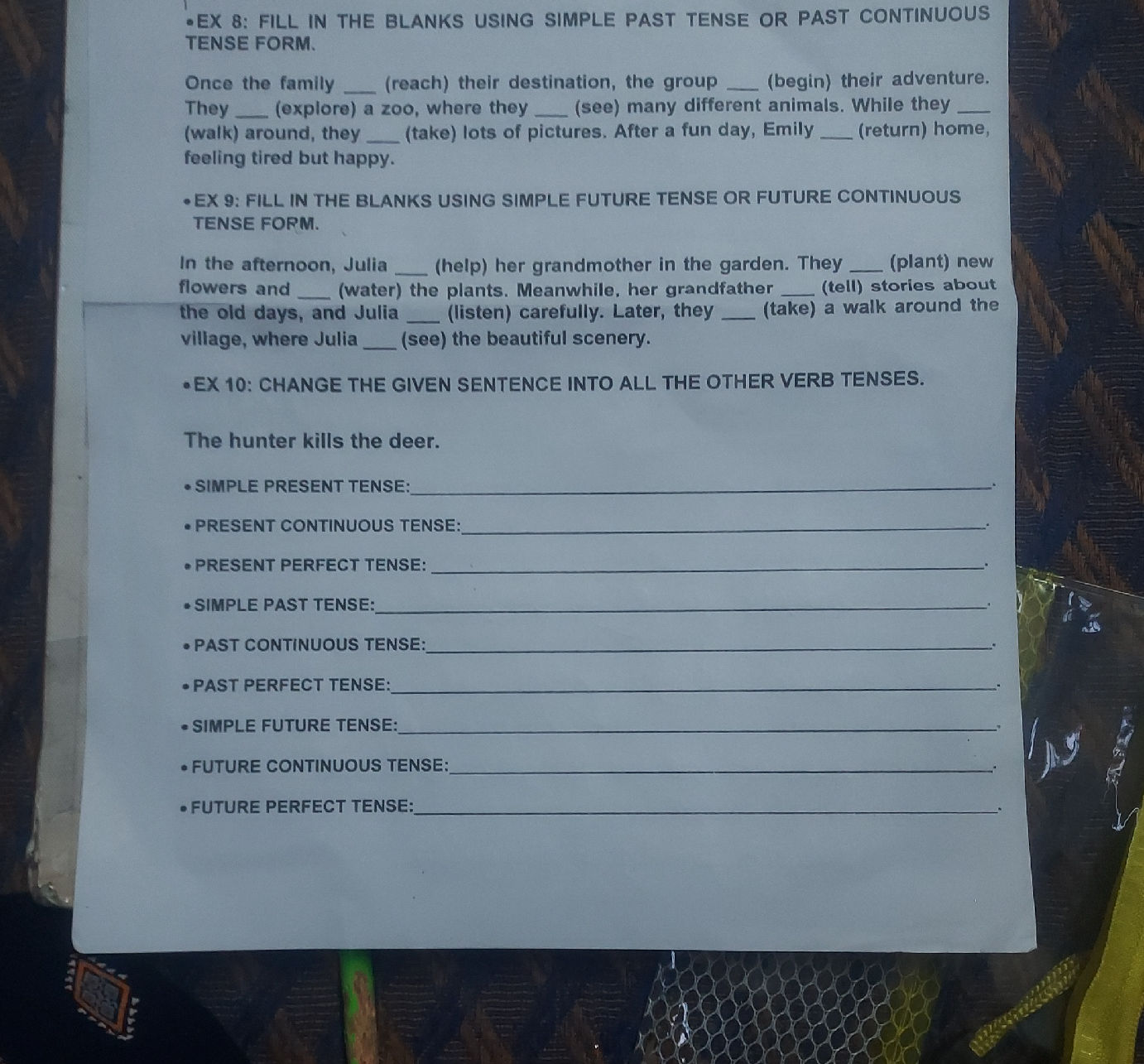 EX 8: FILL IN THE BLANKS USING SIMPLE PAST | StudyX