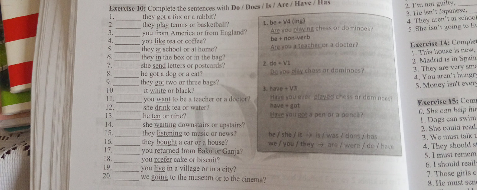 Exercise 10: Complete the sentences with Do | StudyX