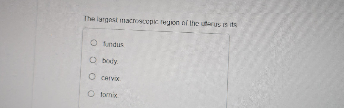 The largest macroscopic region of the uterus | StudyX