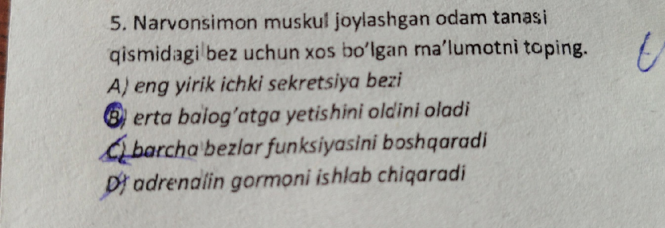 5. Narvonsimon muskul joylashgan odam tanasi | StudyX