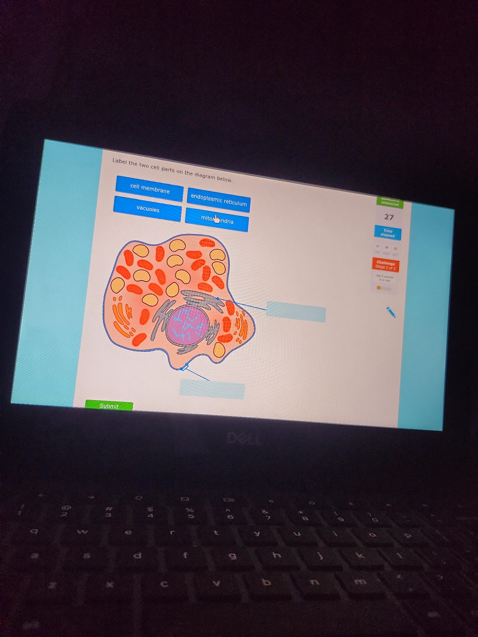 Label the two cell parts on the diagram