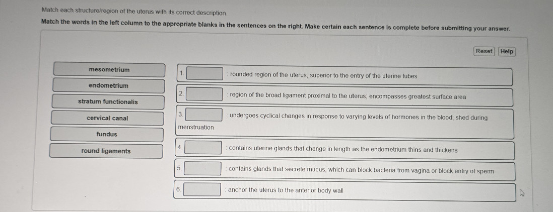 Match each structure/region of the uterus | StudyX