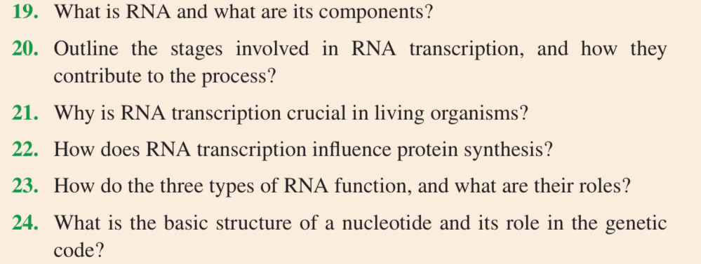 19. What is RNA and what are its components? | StudyX