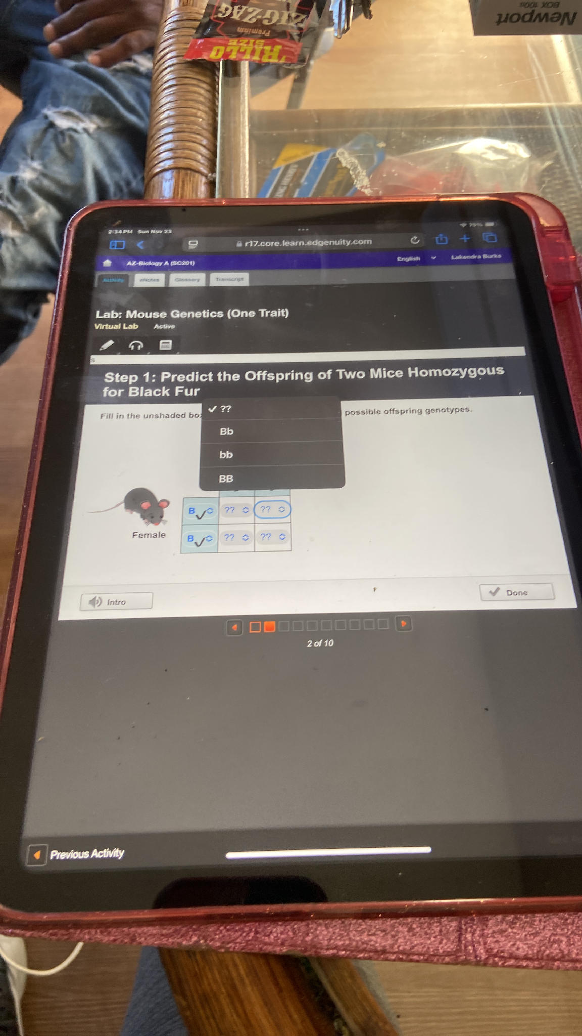 Lab: Mouse Genetics (One Trait) **Step 1: | StudyX