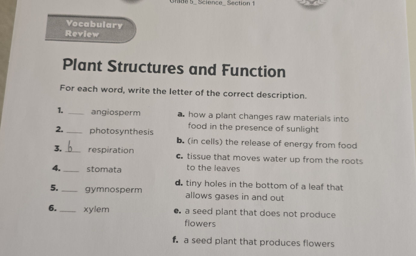 Vocabulary Review Plant Structures and | StudyX