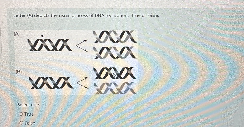 Letter (A) depicts the usual process of DNA | StudyX