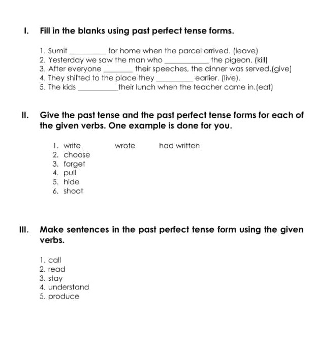 I. Fill in the blanks using past perfect | StudyX