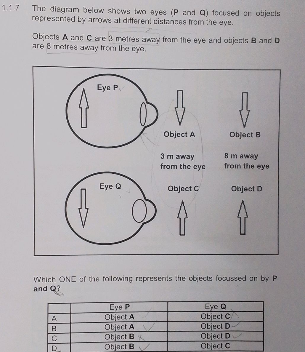 The diagram below shows two eyes (P and Q) | StudyX