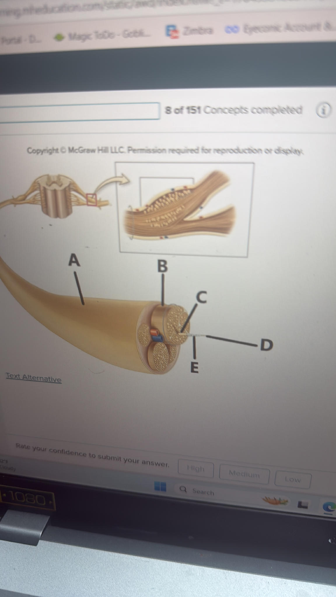 The image shows a diagram of a nerve in | StudyX