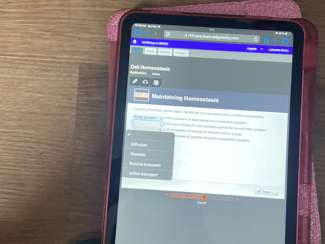 Using the drop-down menus below, identify | StudyX