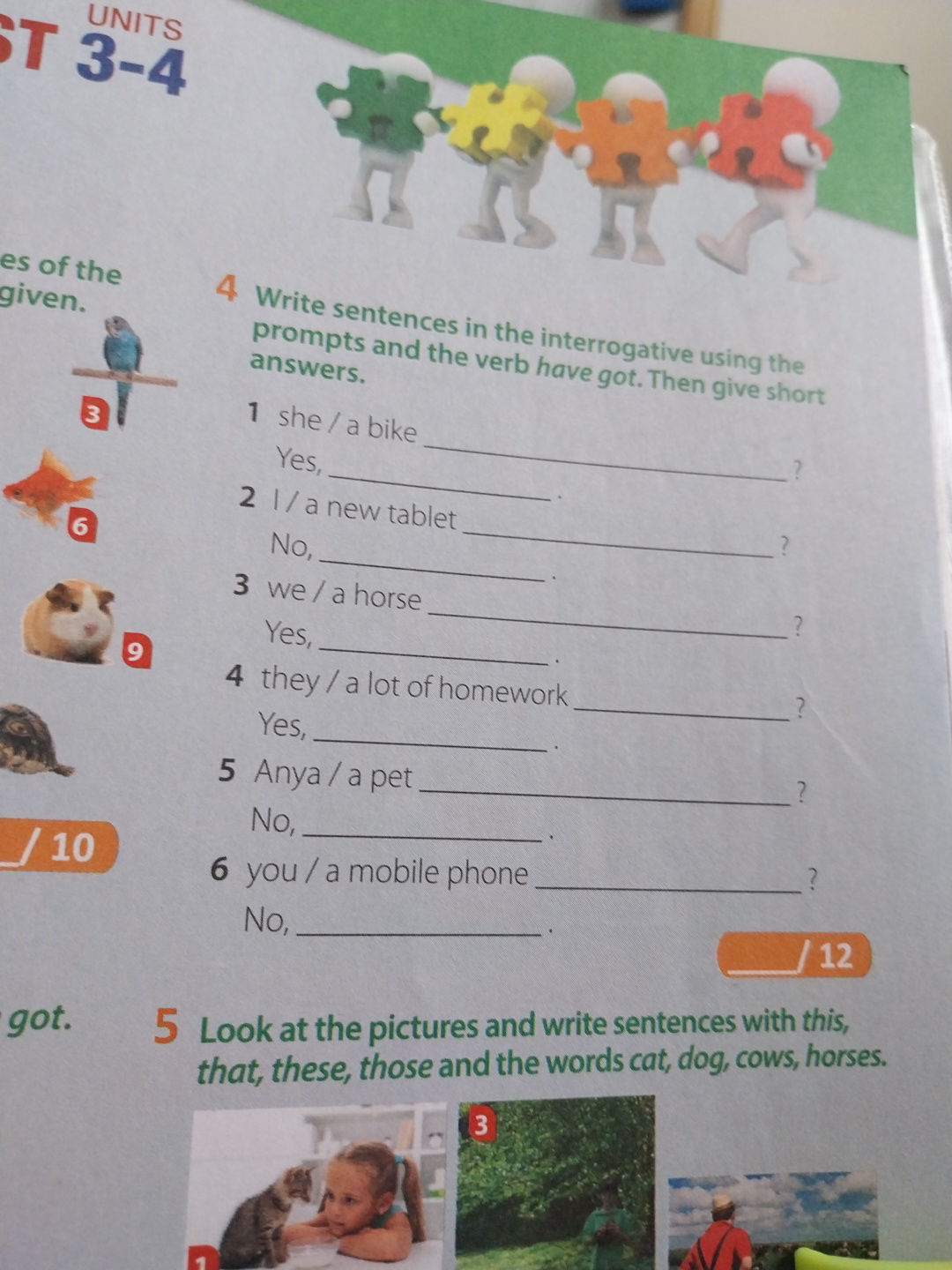 4 Write sentences in the interrogative using | StudyX