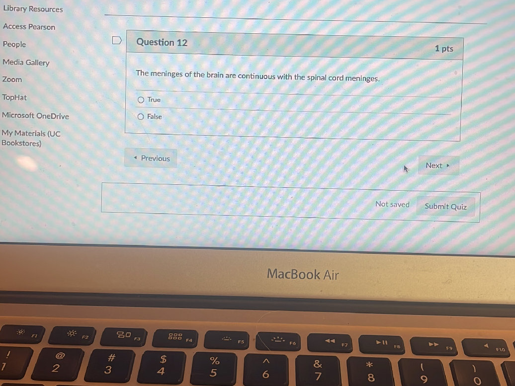 Question 12 1 pts The meninges of the brain | StudyX