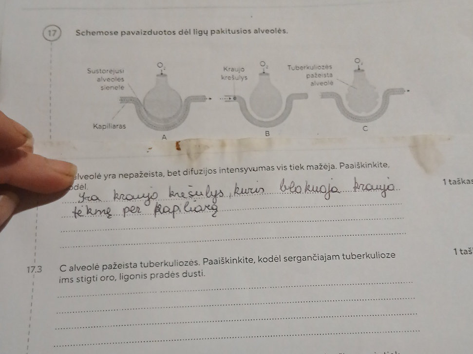 Schemose pavaizduotos dėl ligų pakitusios | StudyX