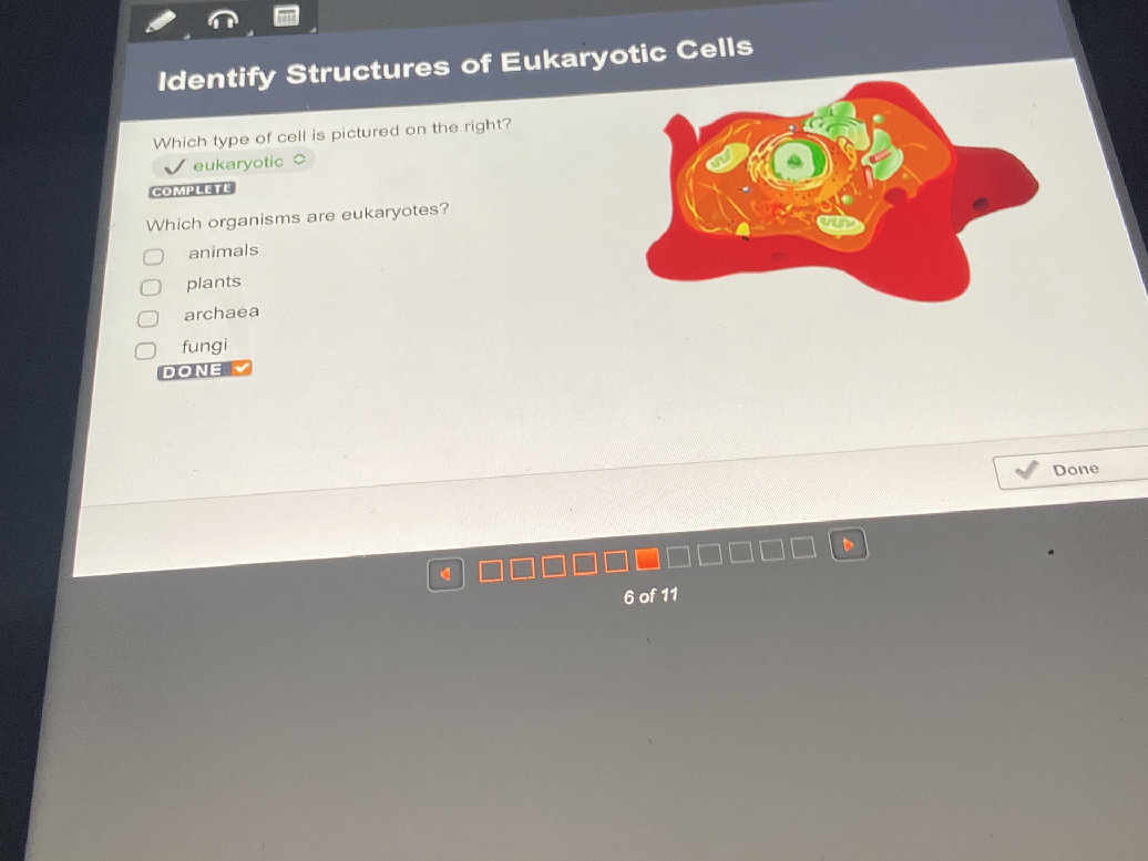 Identify Structures of Eukaryotic Cells | StudyX