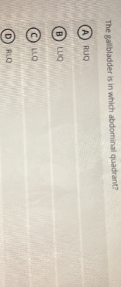 The gallbladder is in which abdominal | StudyX