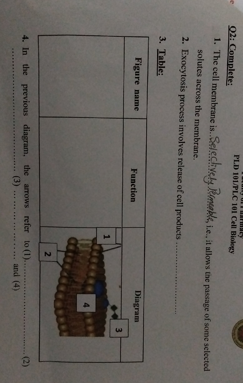 Q2: Complete: 1. The cell membrane is. | StudyX