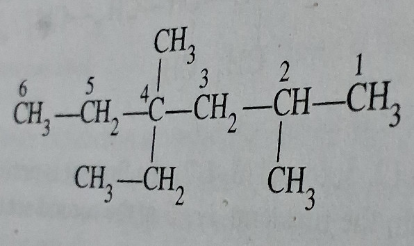 Determine the IUPAC name for the following | StudyX