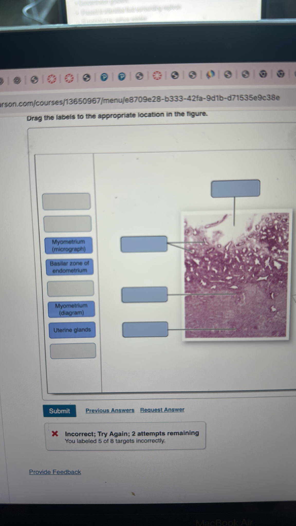 Drag the labels to the appropriate location | StudyX