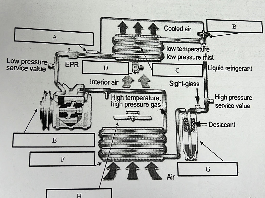 Identify the labeled components (A, B, C, D, | StudyX