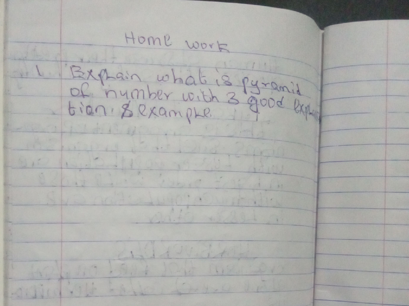 Home work 1. Explain what is pyramid of | StudyX