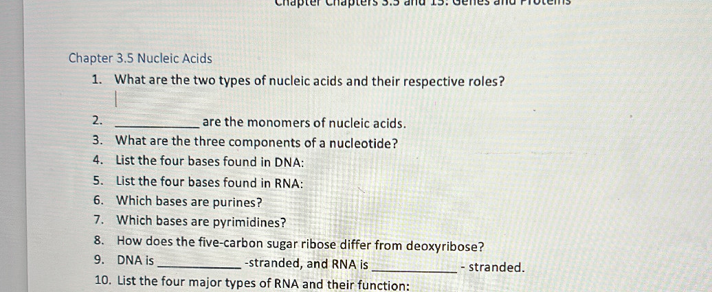 Chapter 3.5 Nucleic Acids 1. What are the | StudyX