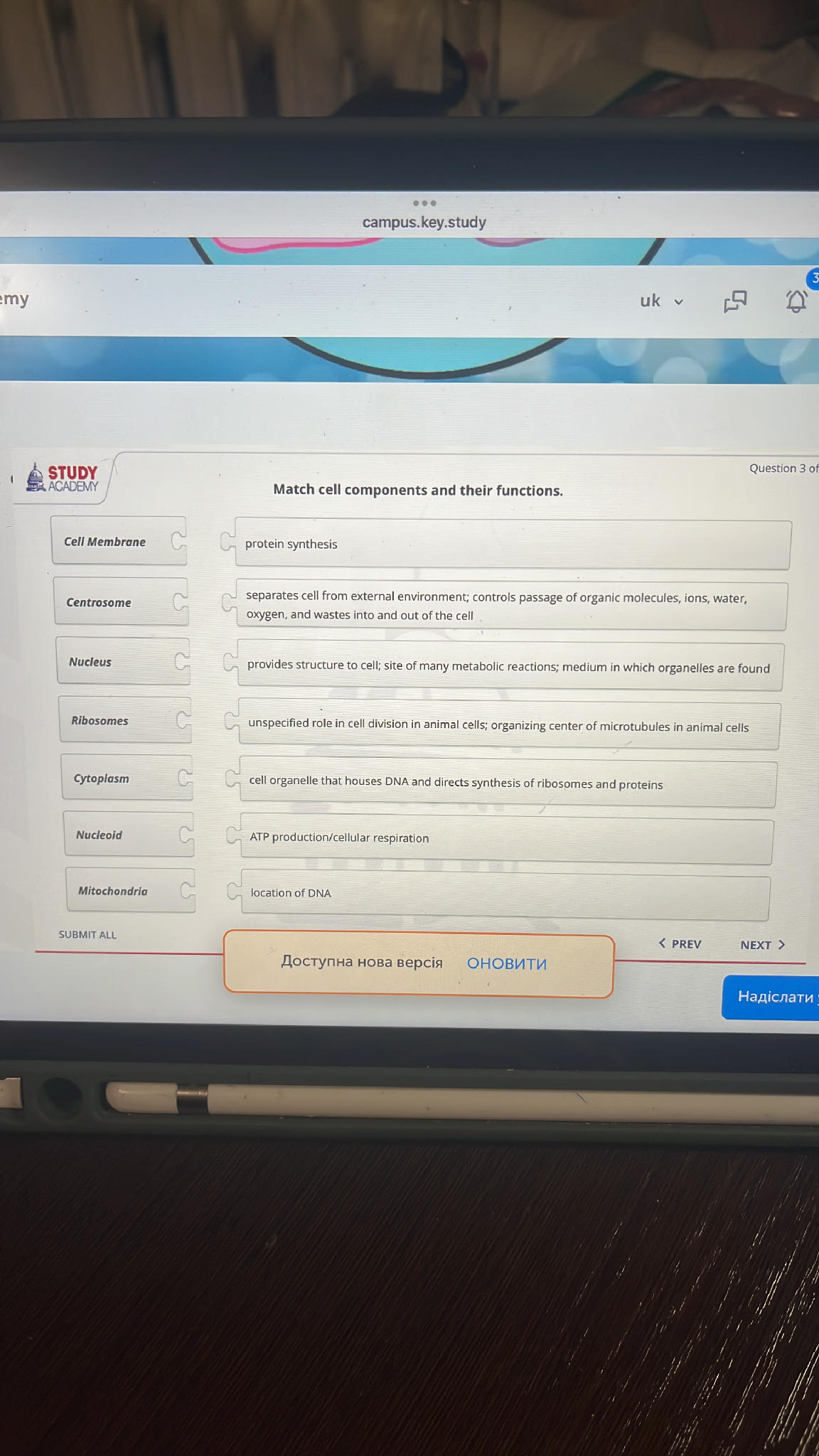 Match cell components and their functions. | StudyX