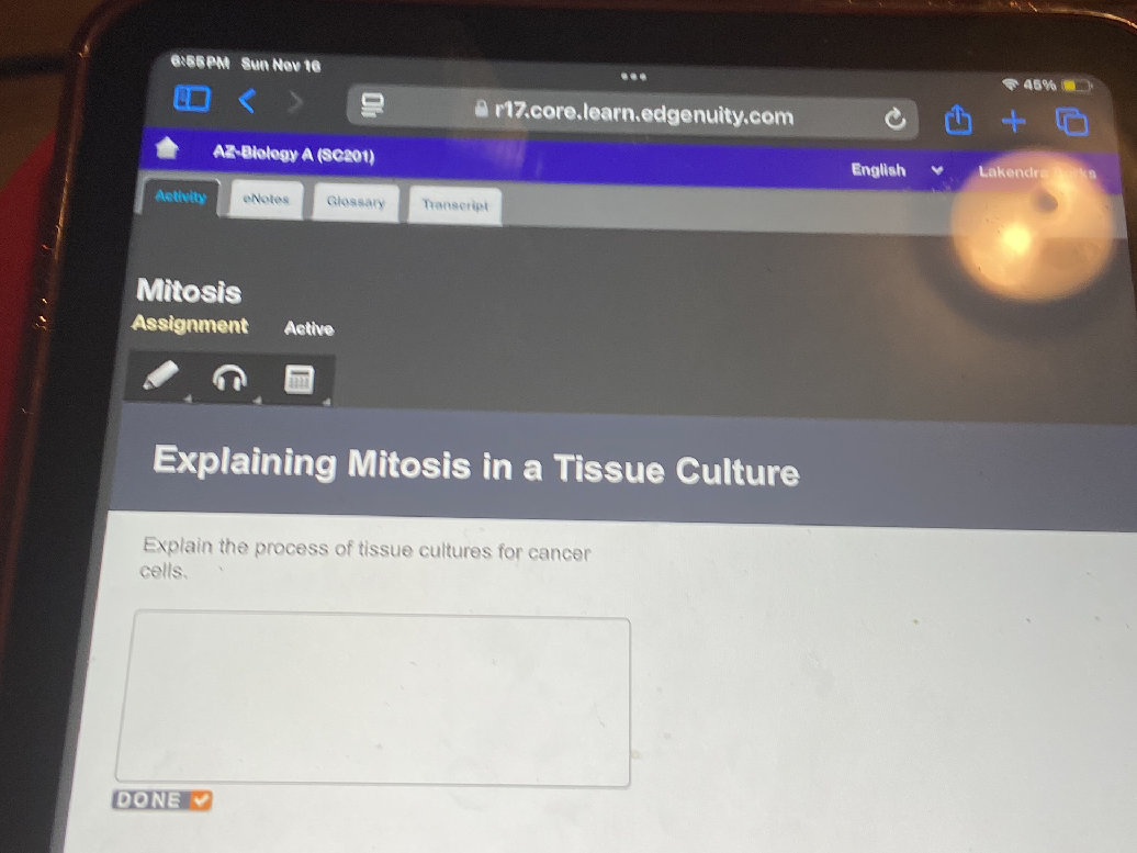 Explaining Mitosis in a Tissue Culture | StudyX