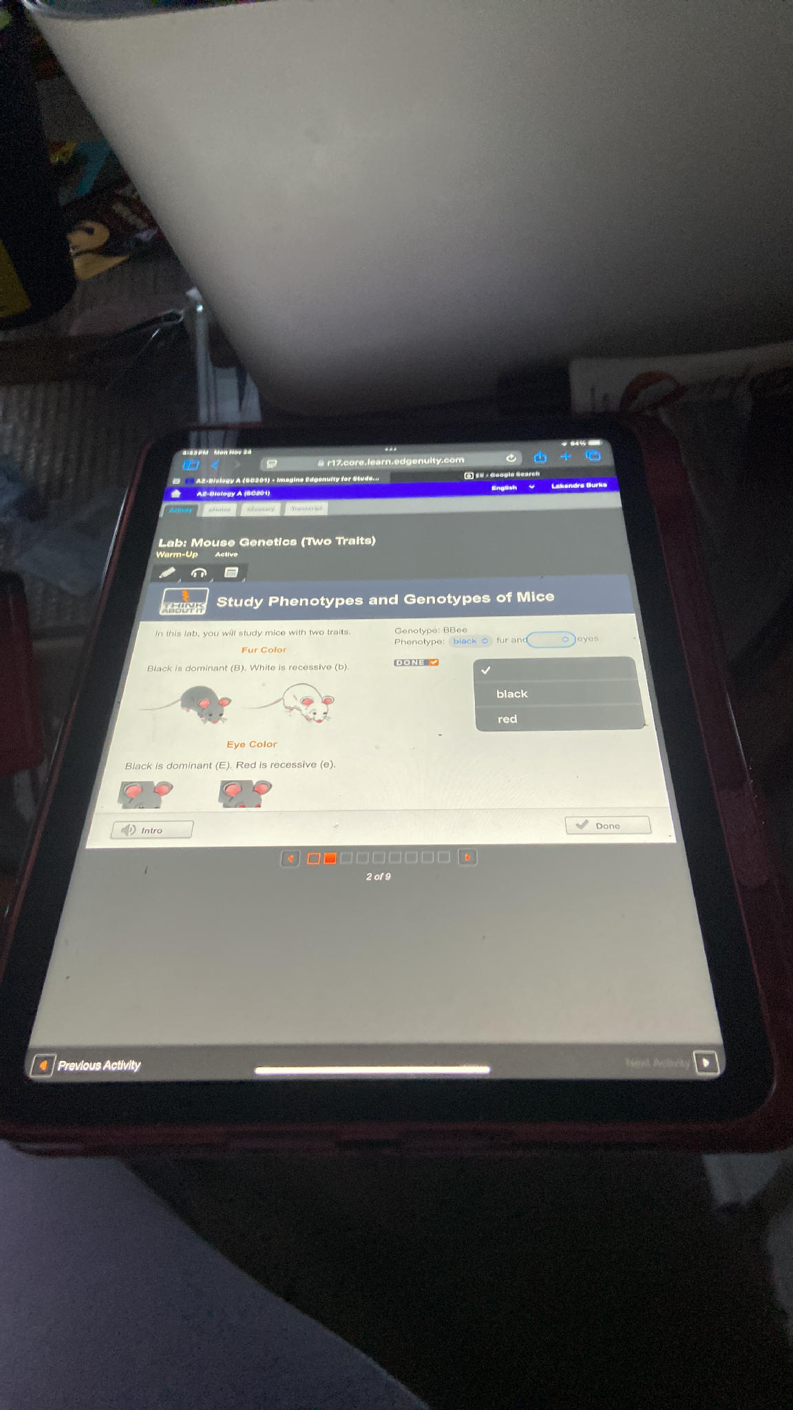 Lab: Mouse Genetics (Two Traits) Study | StudyX