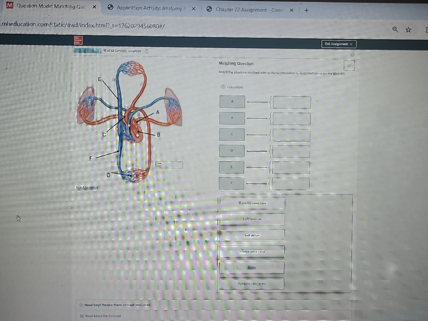 Matching Question Match the structure | StudyX