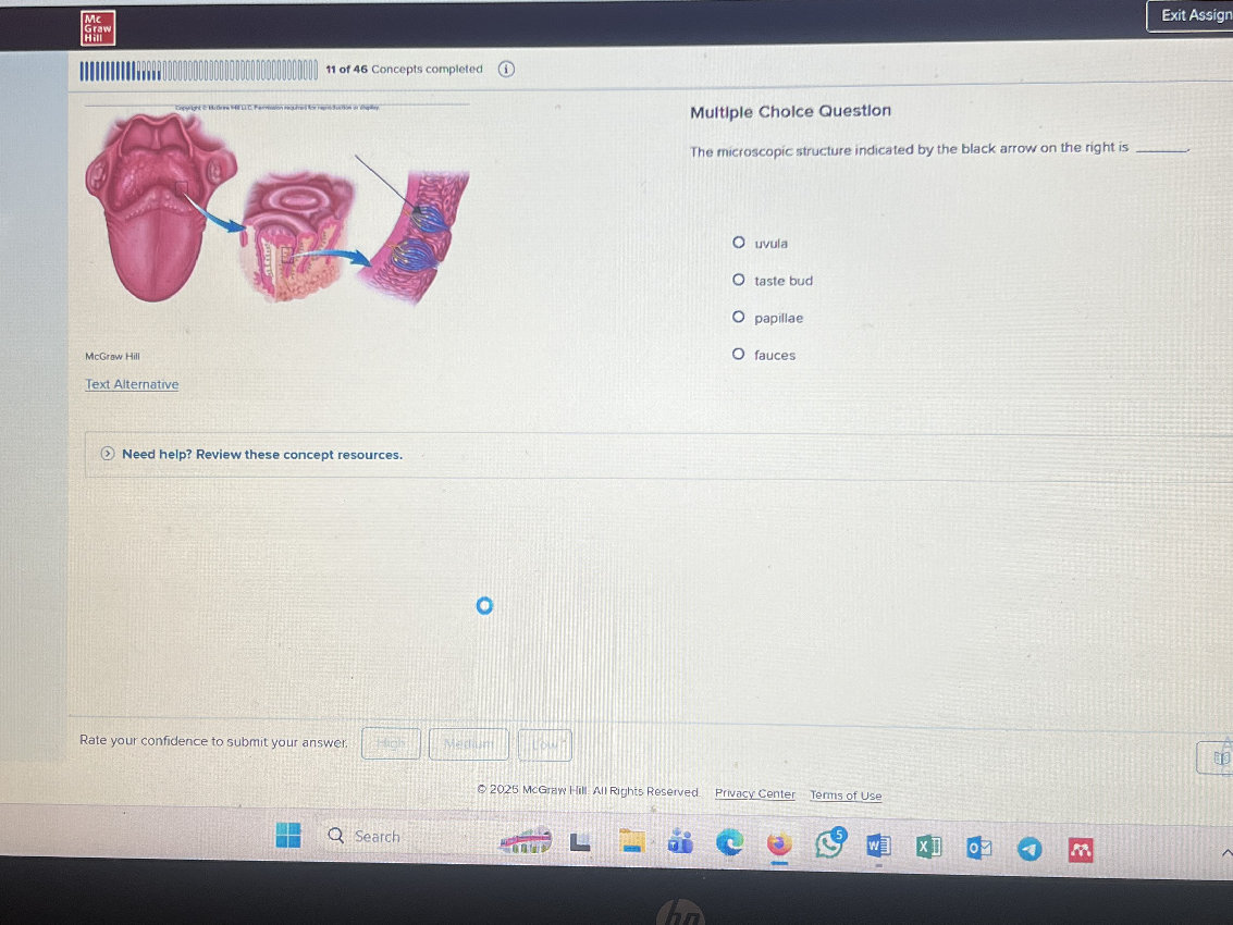 Multiple Choice Question The microscopic | StudyX