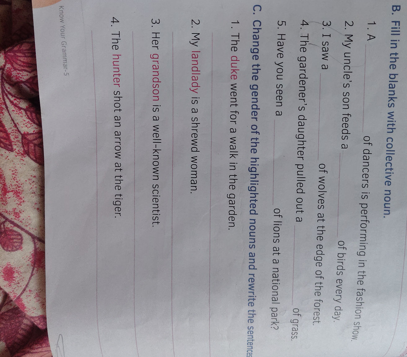 B. Fill in the blanks with collective noun. | StudyX