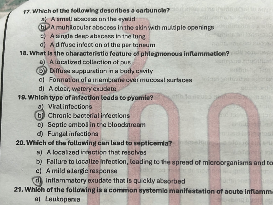Which of the following describes a | StudyX