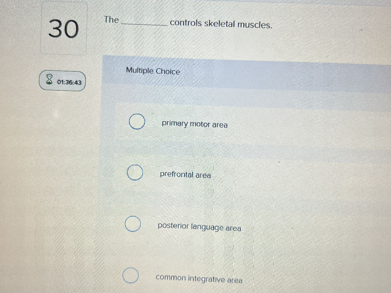 The ______ controls skeletal muscles. | StudyX
