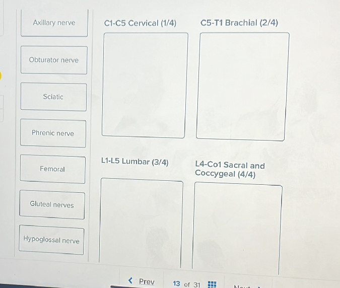 The task is to classify the following nerves | StudyX