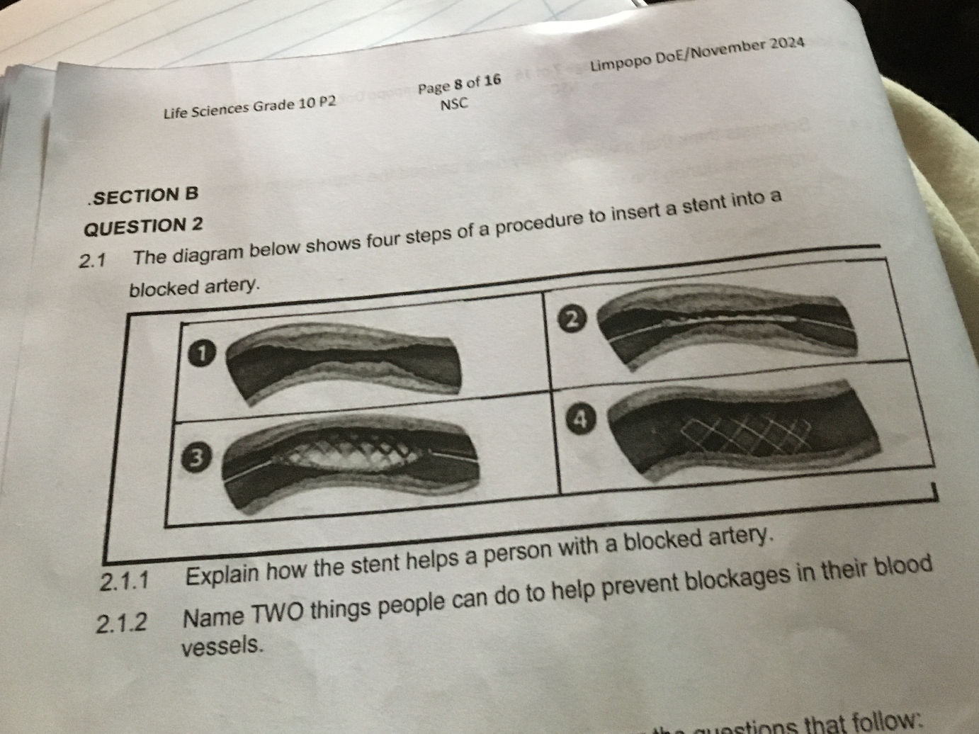 .SECTION B QUESTION 2 2.1 The diagram below | StudyX