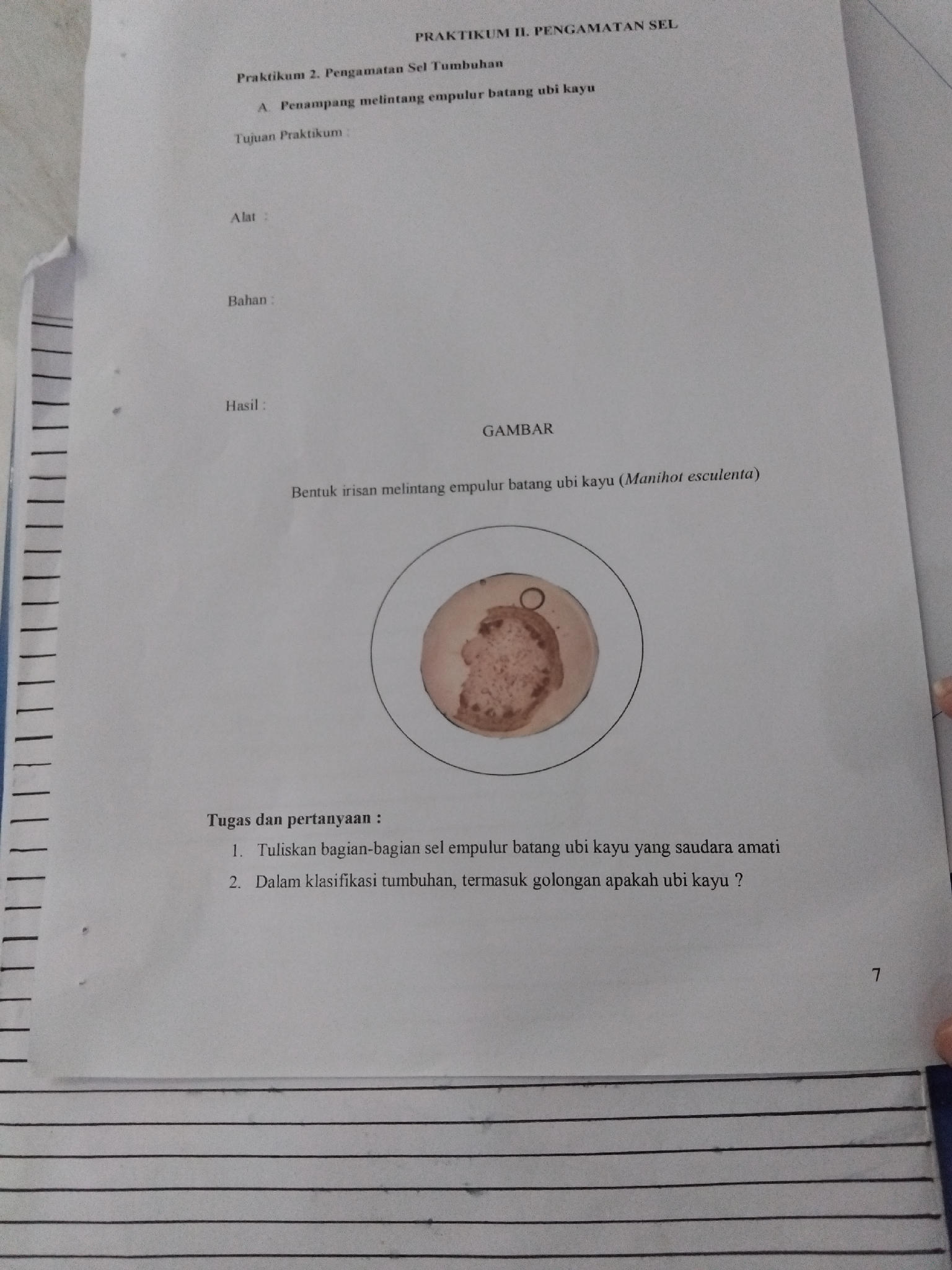 PRAKTIKUM II. PENGAMATAN SEL Praktikum 2.