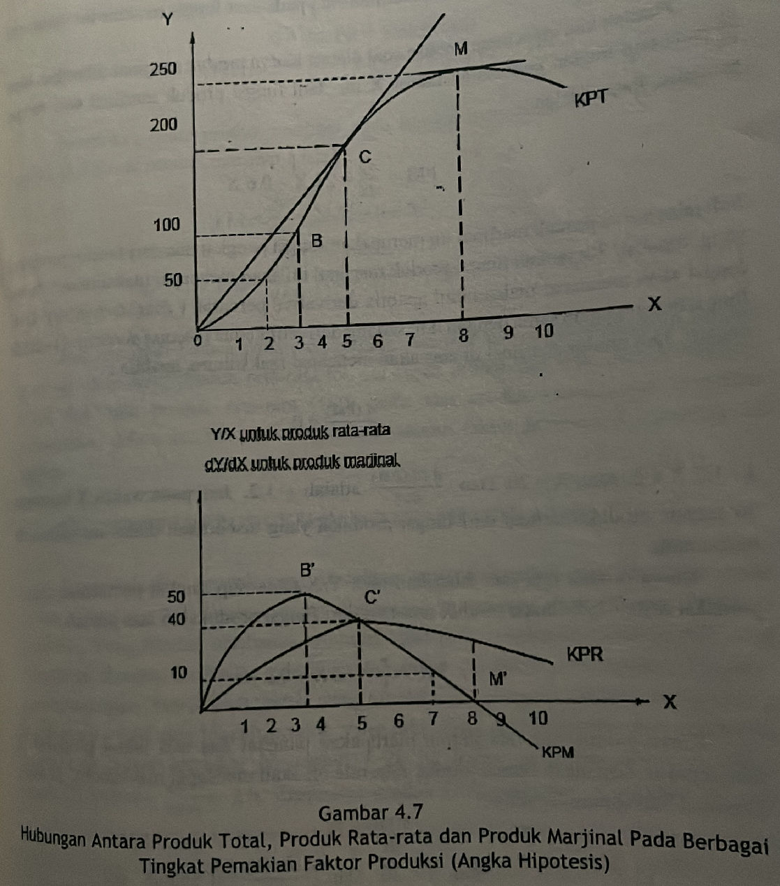 Grafik di atas menunjukkan hubungan antara | StudyX